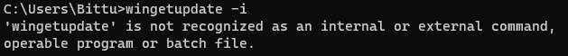`wingetcreate Update` Does Not Parse And Detect Version · Issue 177 · Microsoft Winget Create