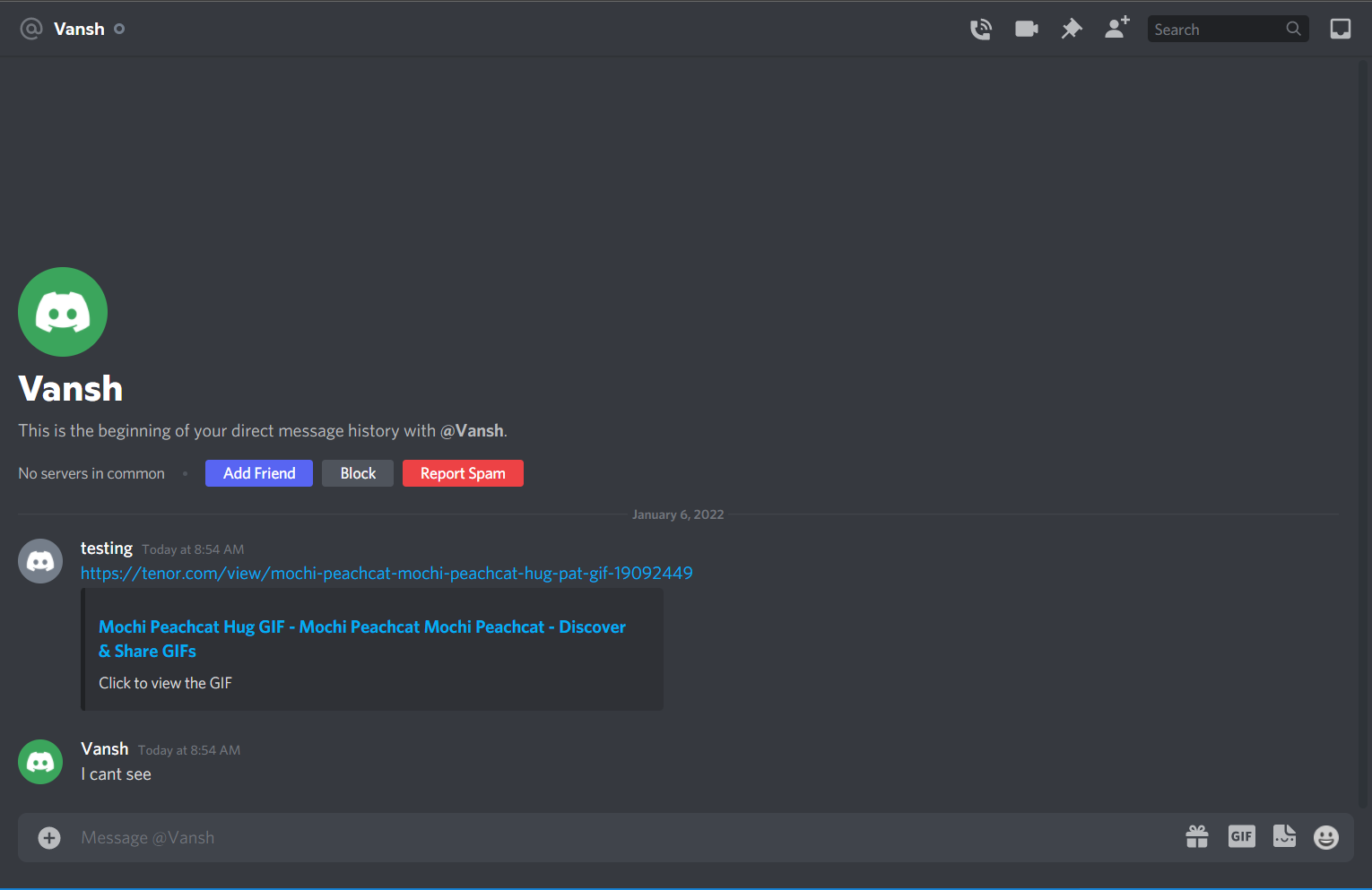 Bugs to be fixed · Issue #575 · spacebarchat/server · GitHub