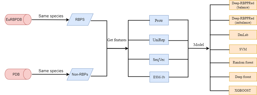 GitHub - yaoyao-11/Seq-RBPPred