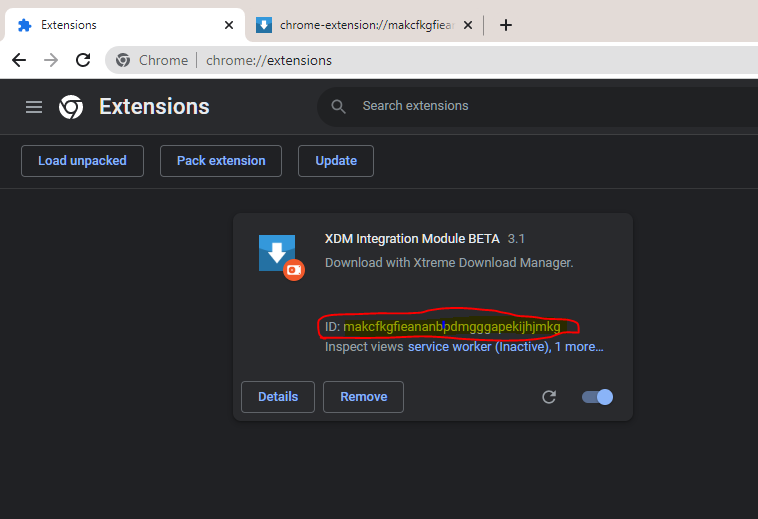 How to Install Browser extension for Google Chrome MS Edge Brave Vivaldi in XDM 8 · subhra74/xdm ...