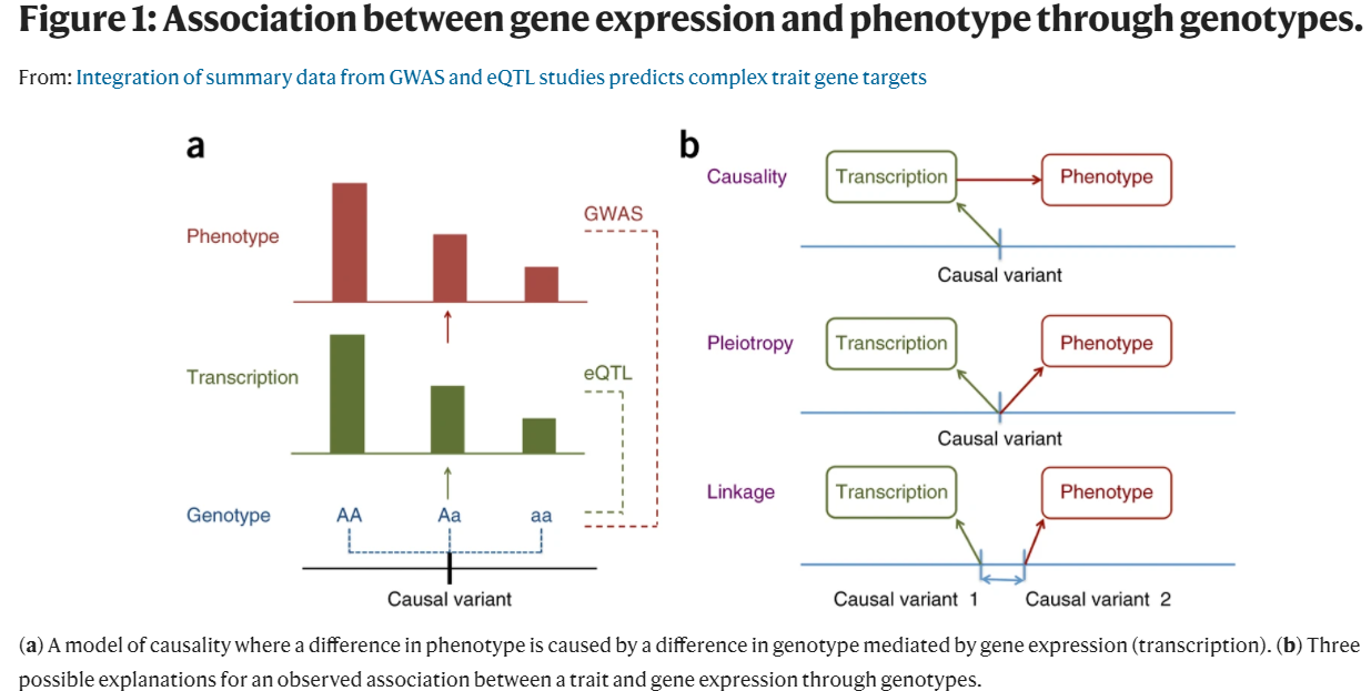 GitHub - ipdgc/Colocalization-Pipeline: iPDGC Hackathon 2021 Project