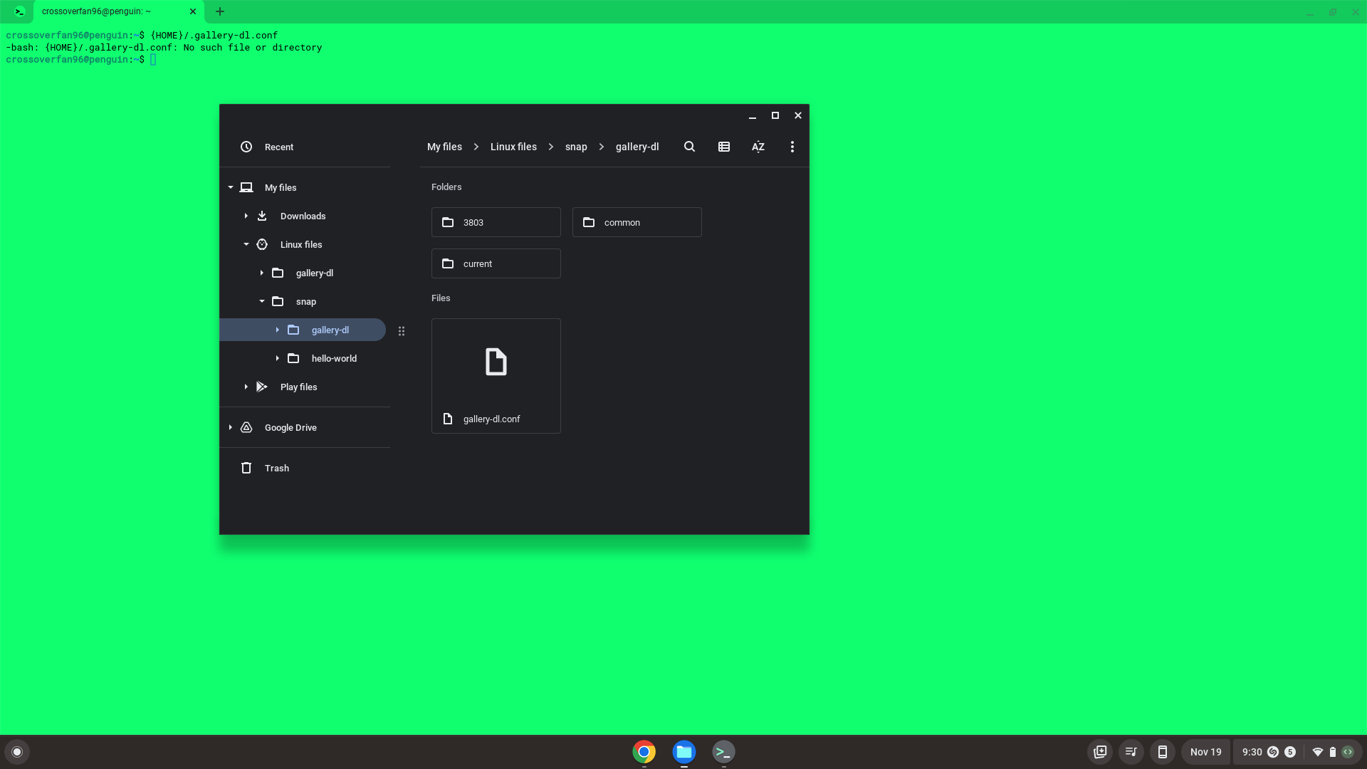 I downloaded the .config file separately and it's refusing to work with my snap installed ...