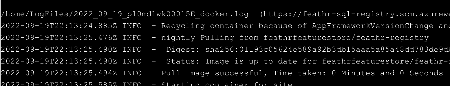 [BUG] Docker image on demo web apps does not get refreshed despite successful publish · Issue ...