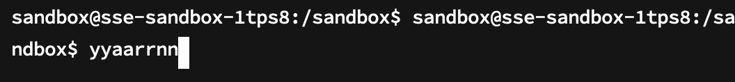 Custom terminal shows, double characters while typing · Issue #4360 · codesandbox/codesandbox ...