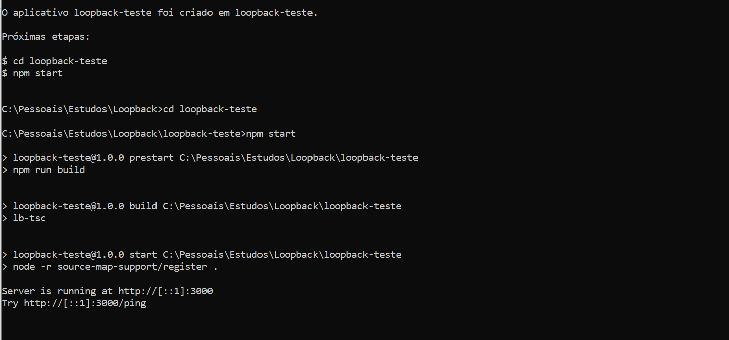 ENOENT: no such file or directory, open 'C:\Pessoais\Estudos\Loopback\package.json' · Issue ...