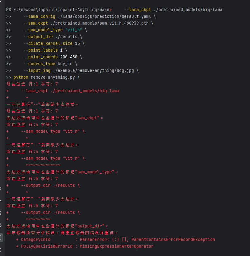 the following arguments are required: --input_img, --coords_type, --point_coords, --point_labels ...