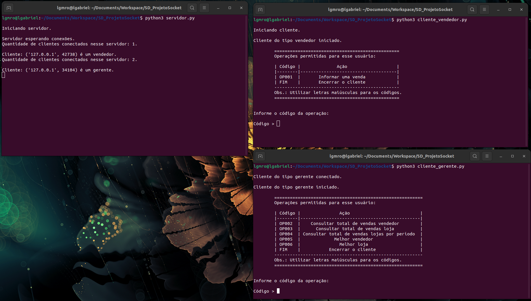 GitHub - lgmro/SD_ProjetoSocket