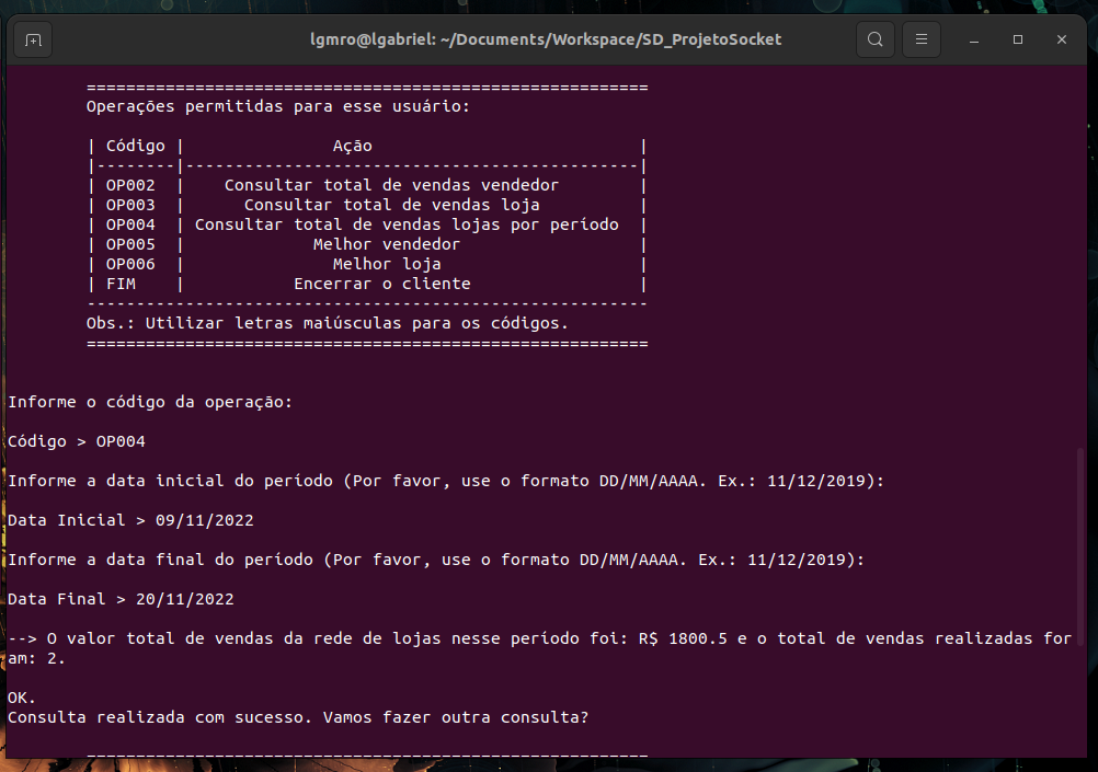 GitHub - lgmro/SD_ProjetoSocket