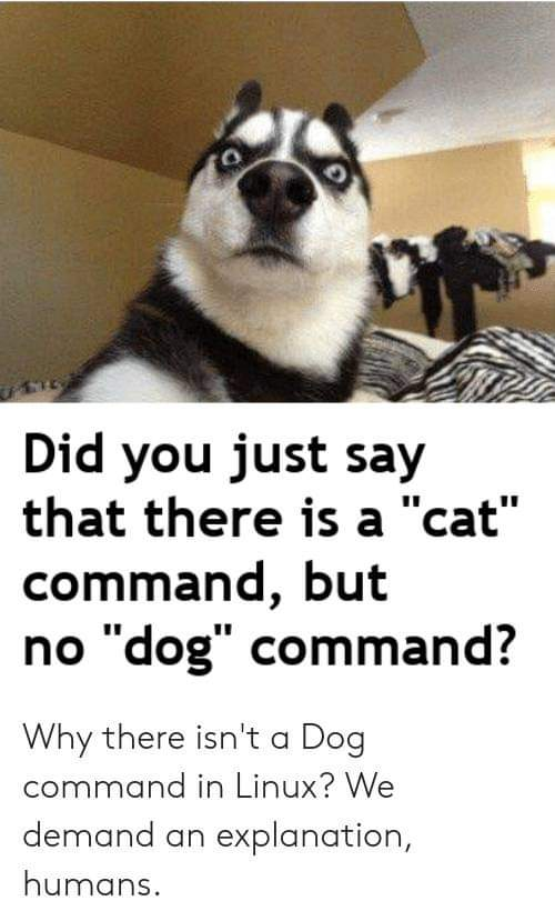 GitHub - sounddrill31/Dog-Alias-Meme-Script: Basically renames your ...