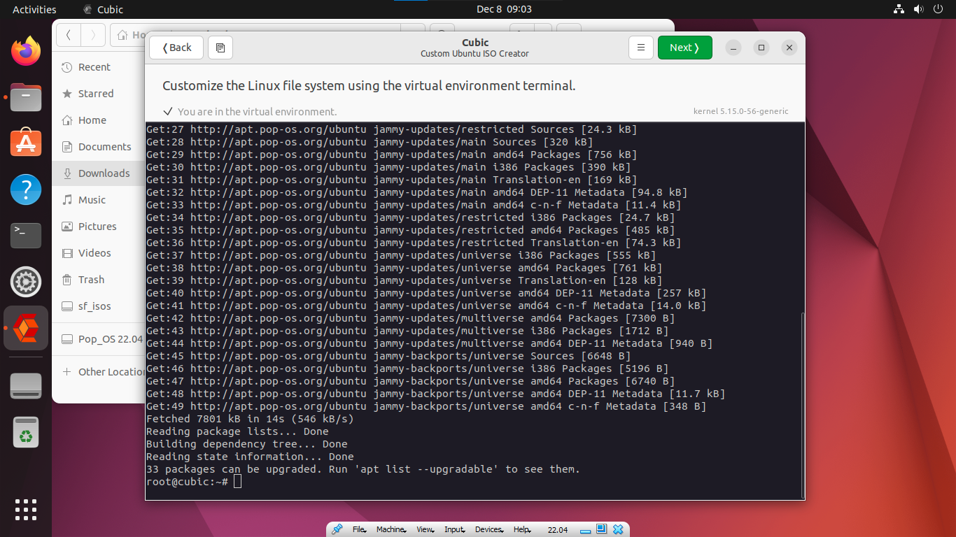 Apt and flatpak don't work · Issue #138 · PJ-Singh-001/Cubic · GitHub