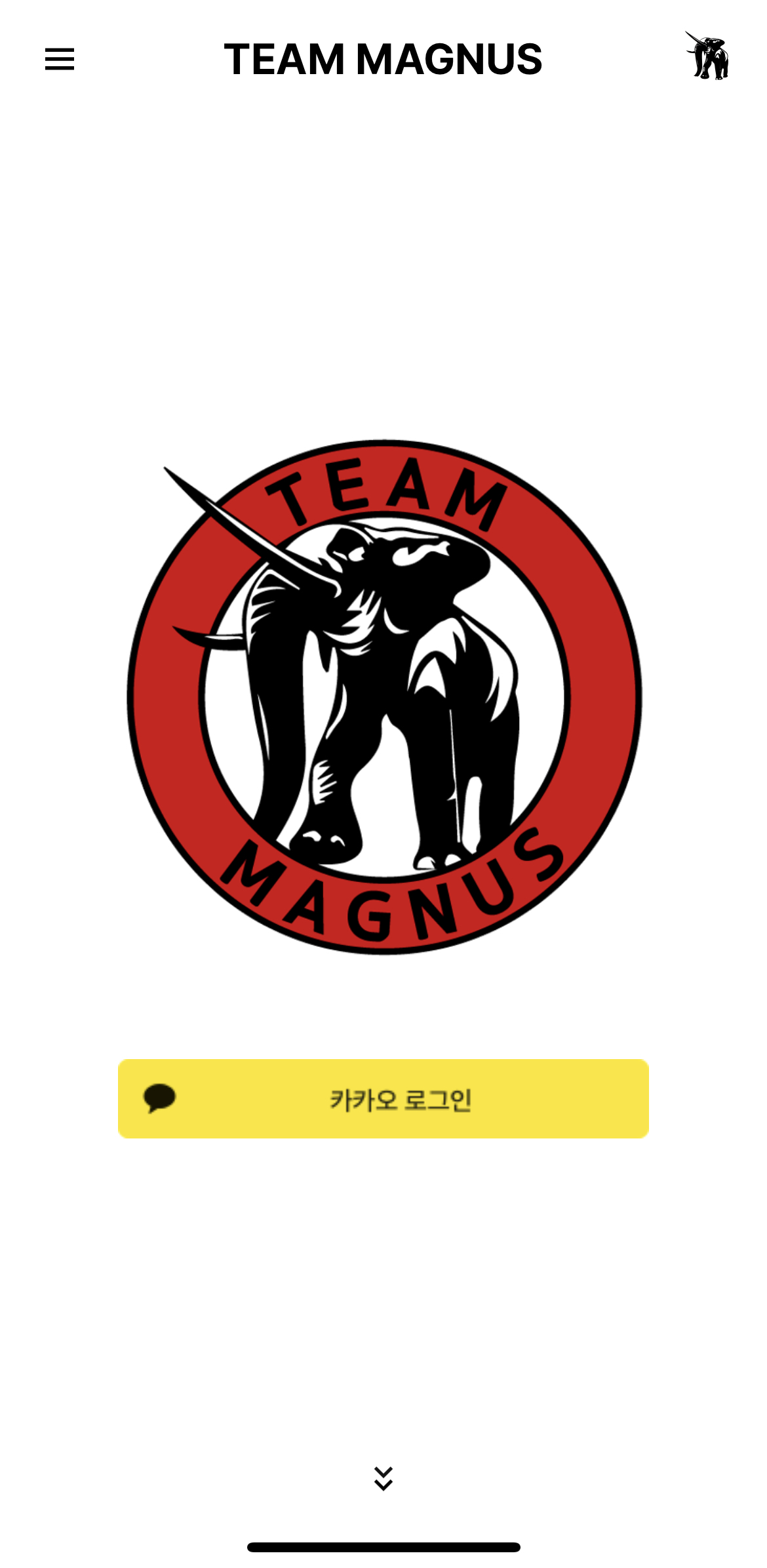GitHub - TEAM-MAGNUS/MAGNUS