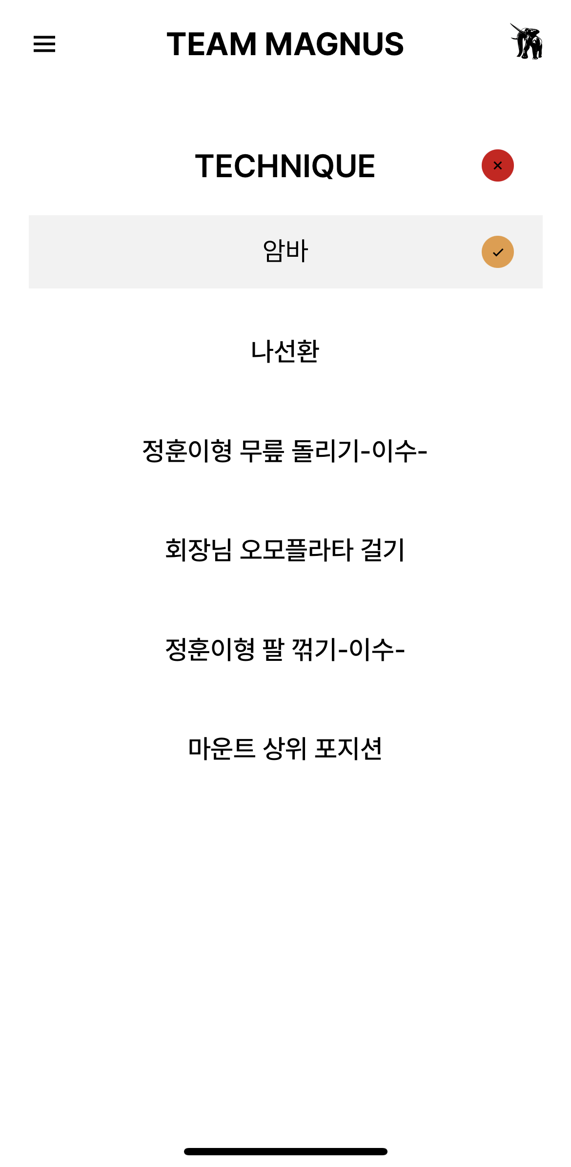 GitHub - TEAM-MAGNUS/MAGNUS