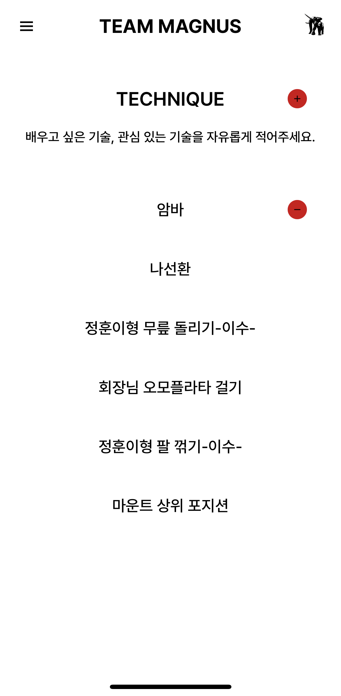 GitHub - TEAM-MAGNUS/MAGNUS