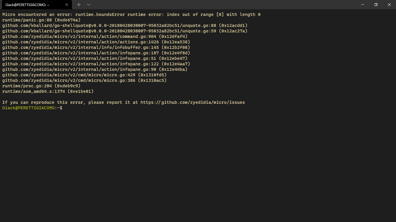 cd command causes micro to crash · Issue #2181 · zyedidia/micro · GitHub