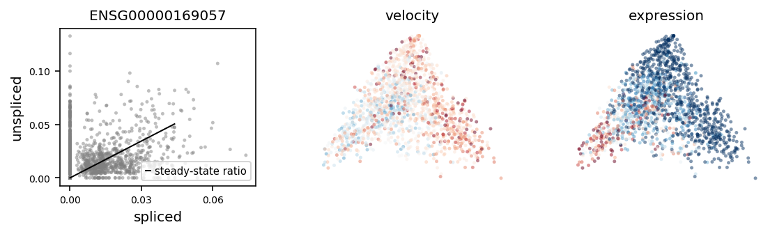 error in computing velocity graph · Issue #95 · theislab/scvelo · GitHub