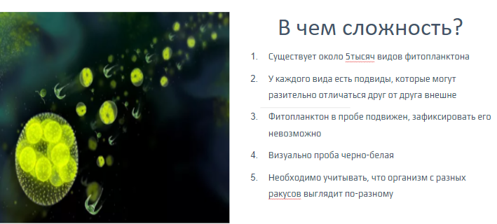 GitHub - im-data-explorer/Object_Detection_Fitoplankton: проект построения нейронной сети ...