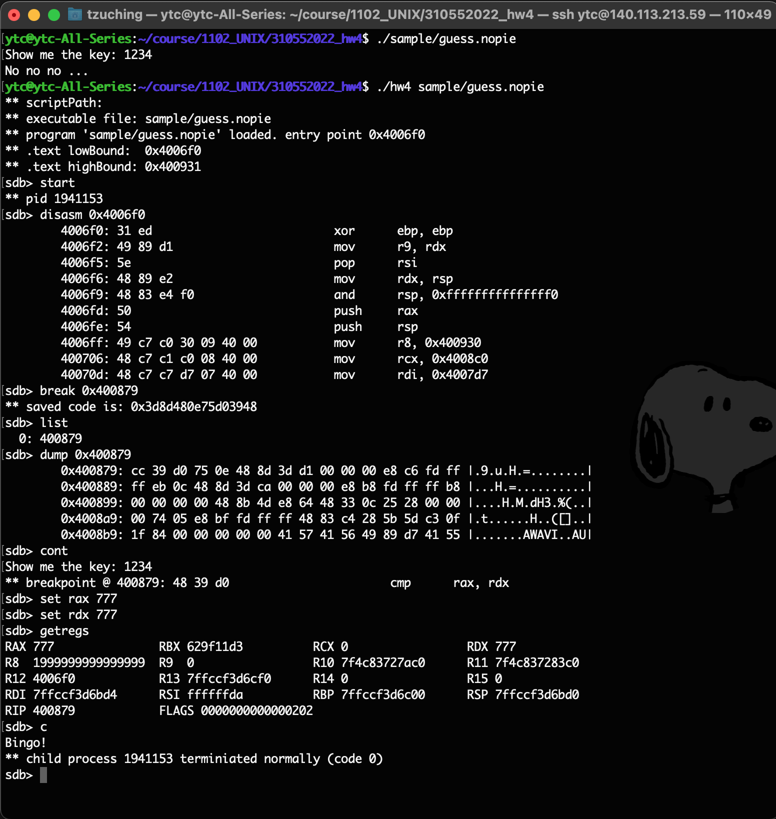 GitHub - Gaaaamma/Scriptable-Debugger: 1102_UNIX_Programming Class HW4
