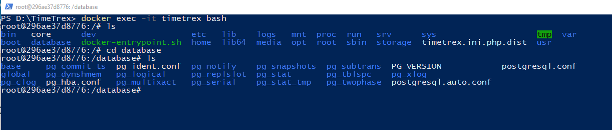 database connection failed · Issue #1 · apnar/docker-image-timetrex · GitHub