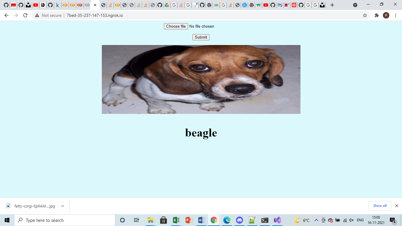 GitHub - priman15/Dog_breed_Identification: ML pet proj