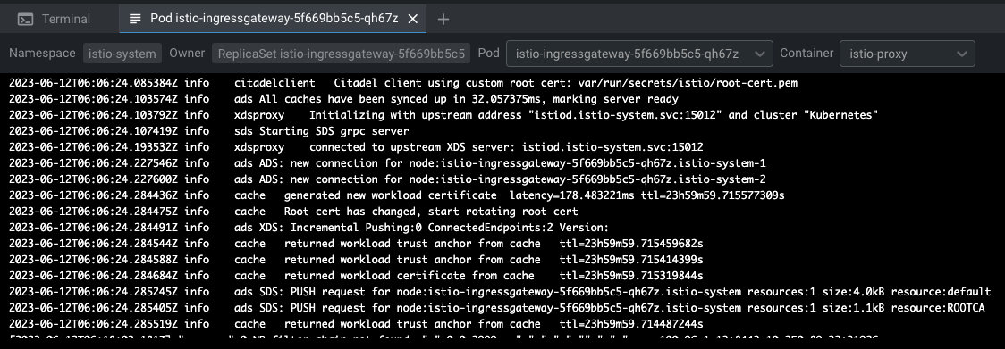 Can't define the format of Istio application logs · Issue #45406 · istio/istio · GitHub