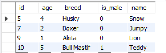 GitHub - conkels/dog-frontend