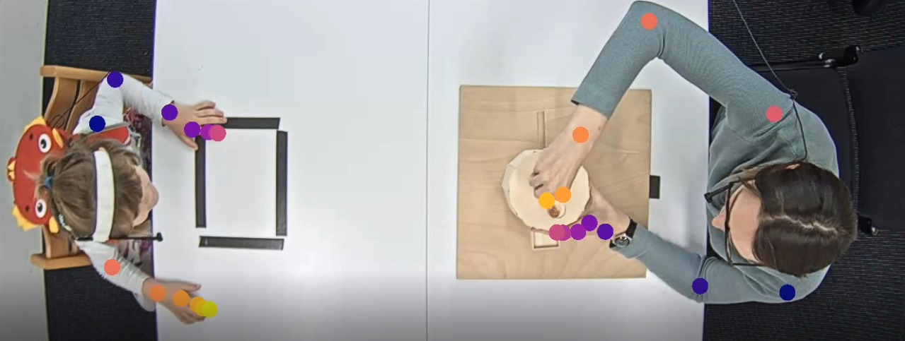 Problem with refining my tracklets · Issue #1335 · DeepLabCut/DeepLabCut · GitHub