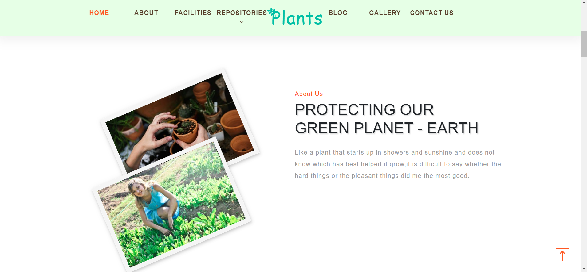 GitHub - Manu-19/future-ready-project: This repository is for the purpose of my future ready ...