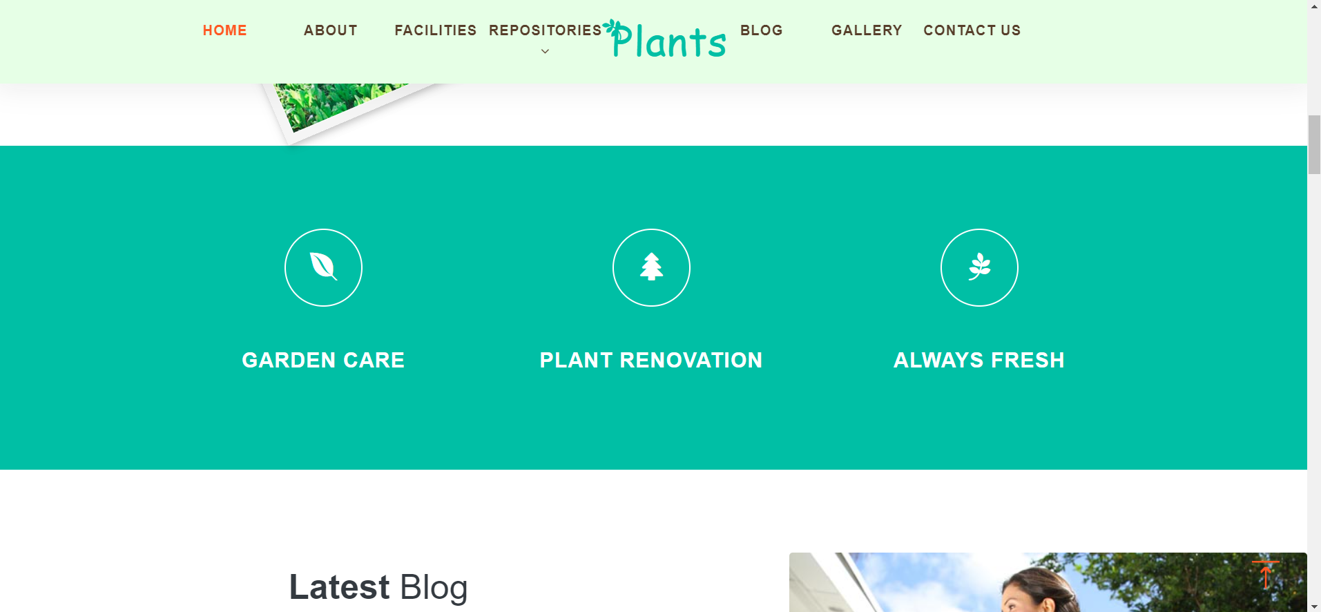 GitHub - Manu-19/future-ready-project: This repository is for the purpose of my future ready ...