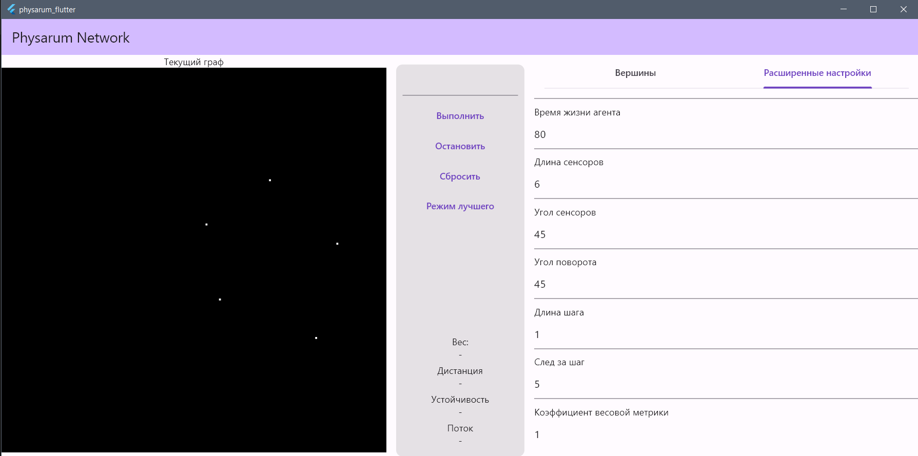 GitHub - iamgirya/Physarum-building-an-optimal-road-network: Приложение для построения ...