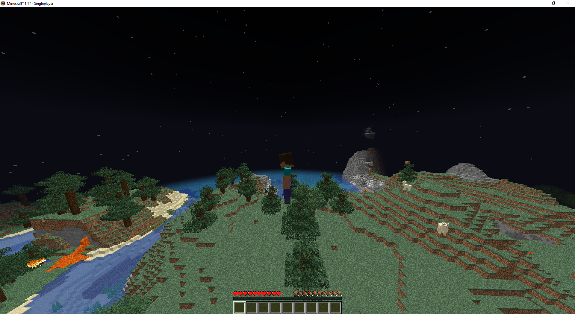 [Bug] Flight module bug · Issue #1104 · MeteorDevelopment/meteor-client · GitHub