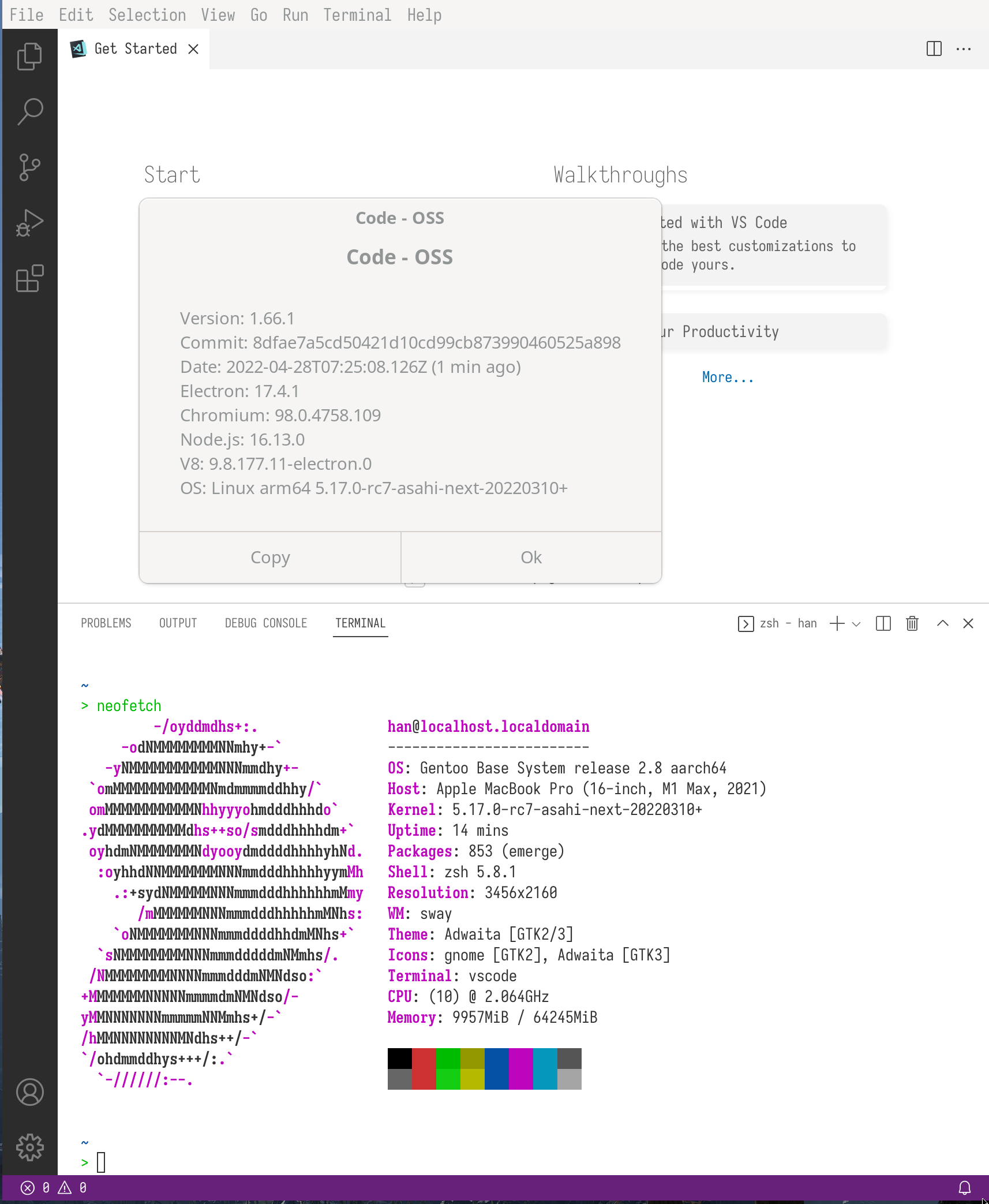 Segfault On Asahi Linux M1 Max · Issue 148116 · Microsoftvscode · Github