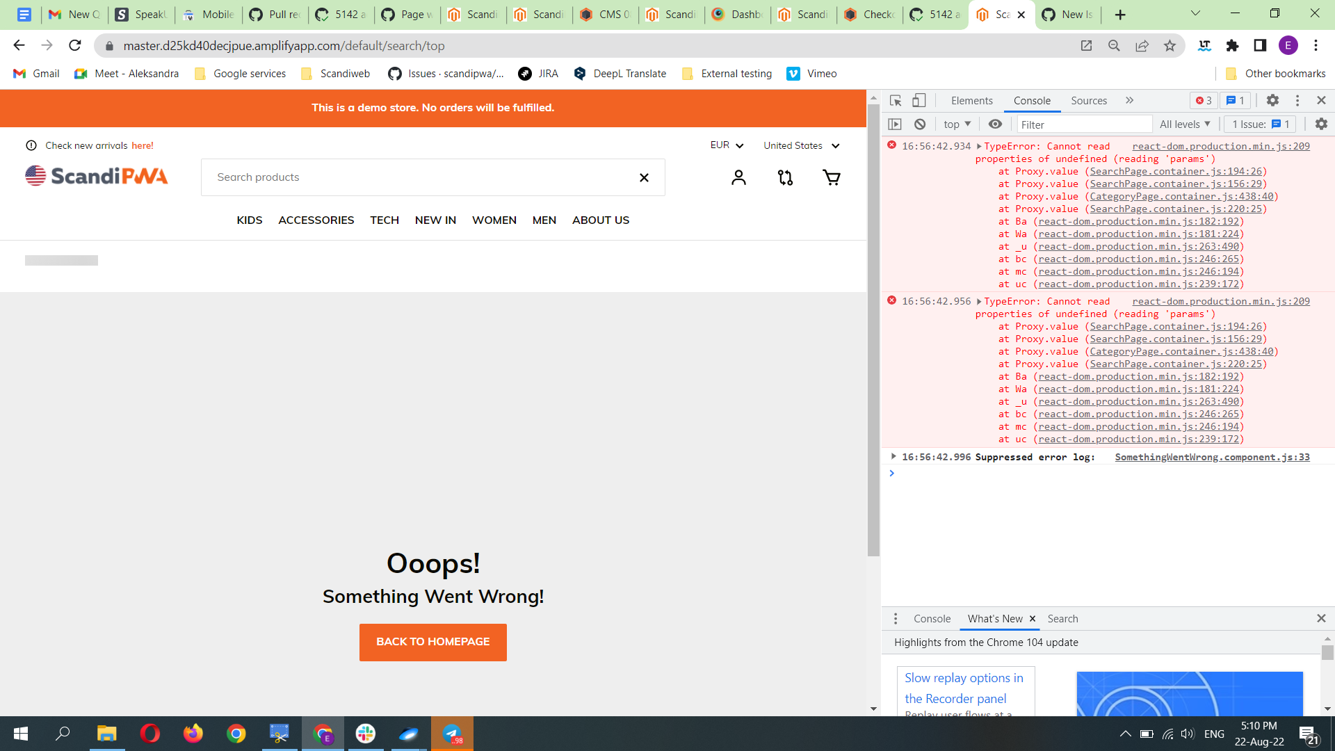 Ooops page appears · Issue #5164 · scandipwa/scandipwa · GitHub
