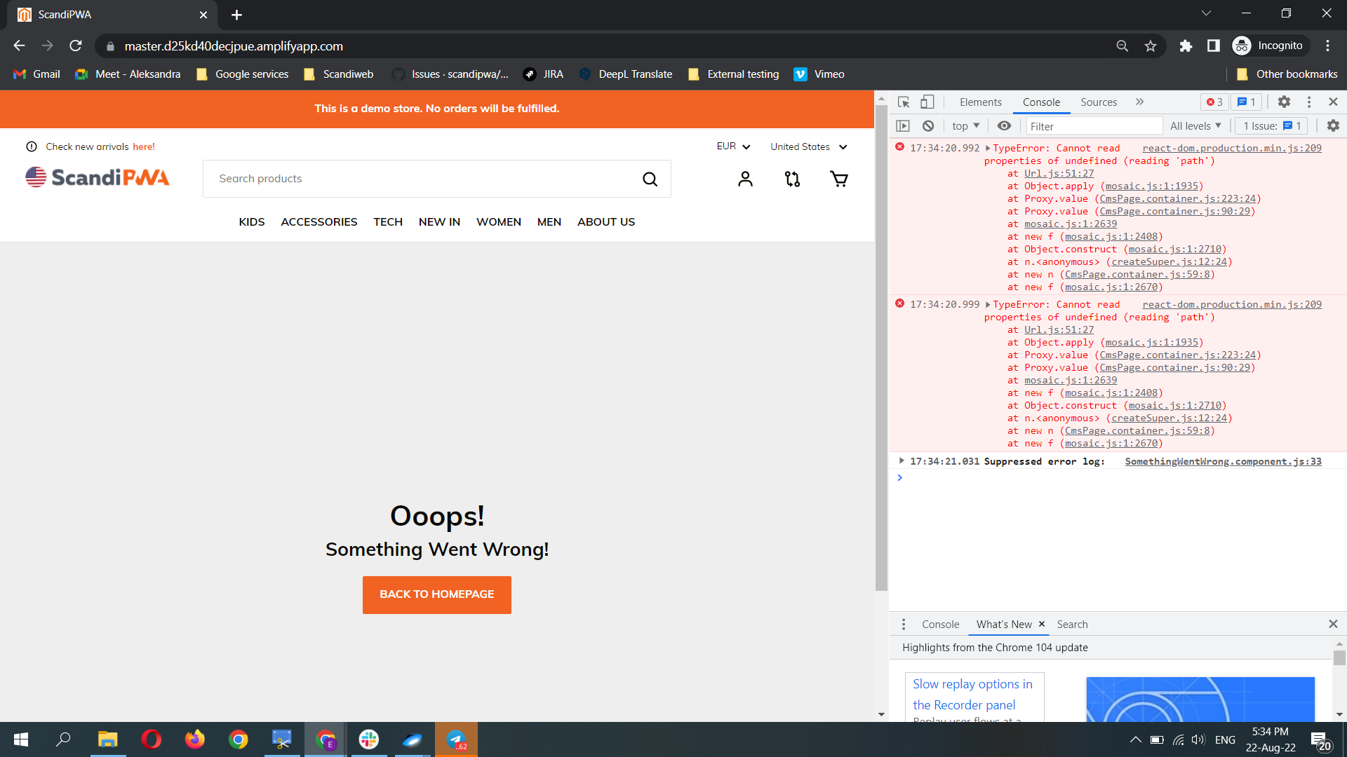 Ooops page appears · Issue #5164 · scandipwa/scandipwa · GitHub