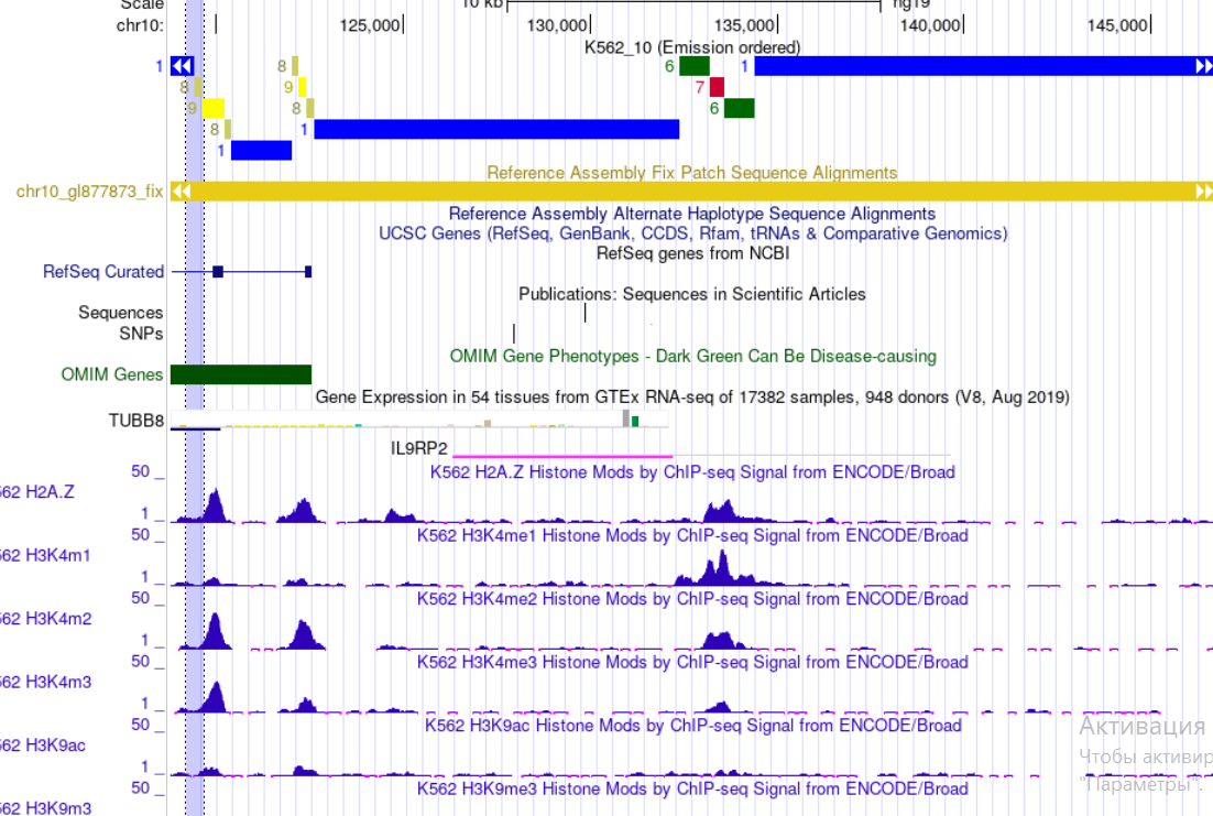 GitHub - Ar4il/hse_hw3_chromhmm