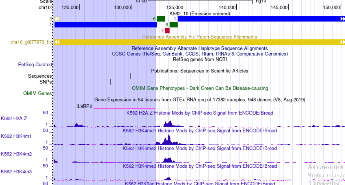 GitHub - Ar4il/hse_hw3_chromhmm