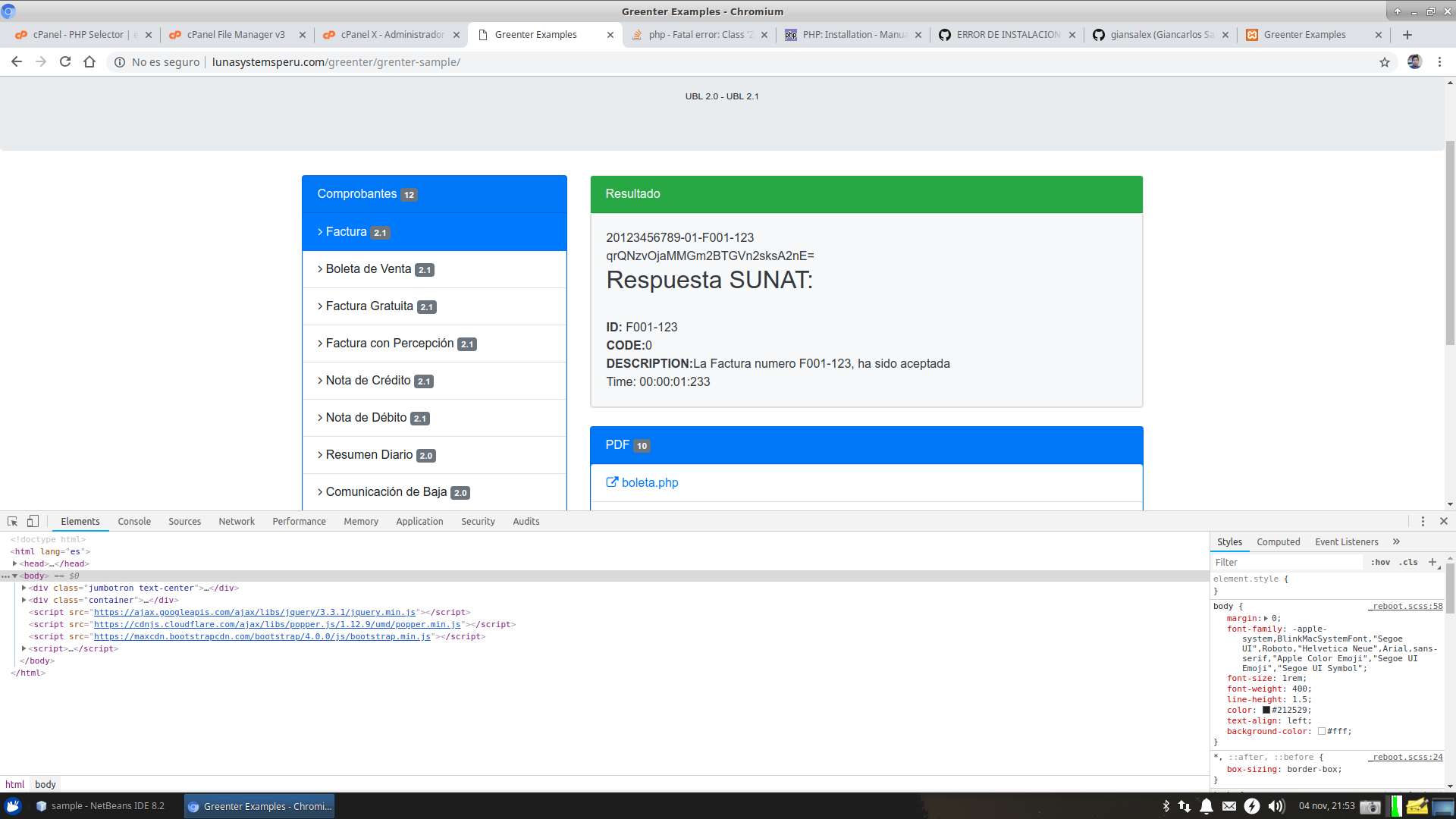 ERROR DE INSTALACION · Issue #43 · thegreenter/demo · GitHub