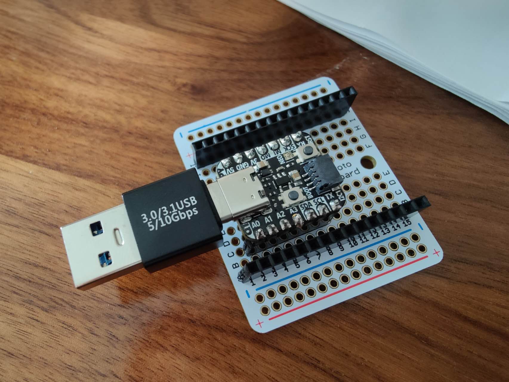 GitHub - Thea-E/ESE519-Drafts