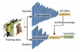 GitHub - HarshithK13/3-Model-Compression-Techniques: In this project ...