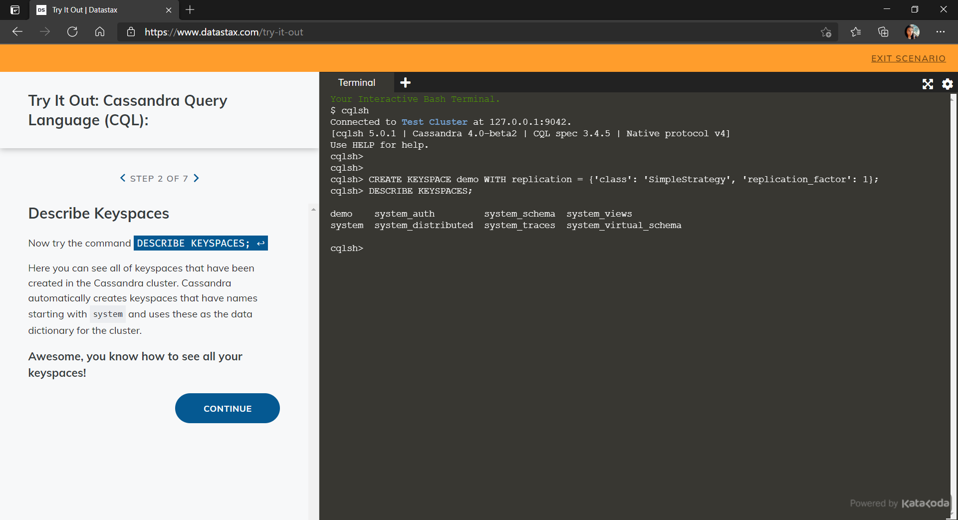 [HW] · Issue #65 · datastaxdevs/workshop-introduction-to-nosql · GitHub