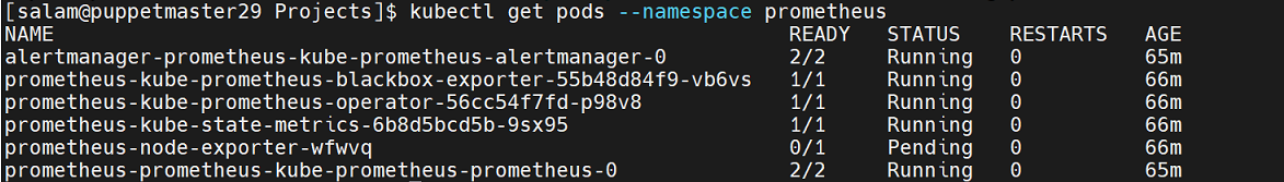 [bitnami/kube-prometheus] prometheus chart 1 node(s) didn't have free ports for the requested ...