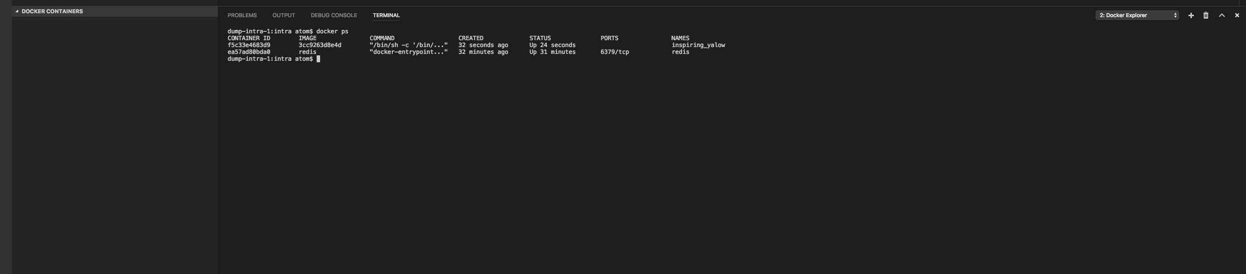 Docker-explorer can't fetch list on MACOSX · Issue #11 · formulahendry ...