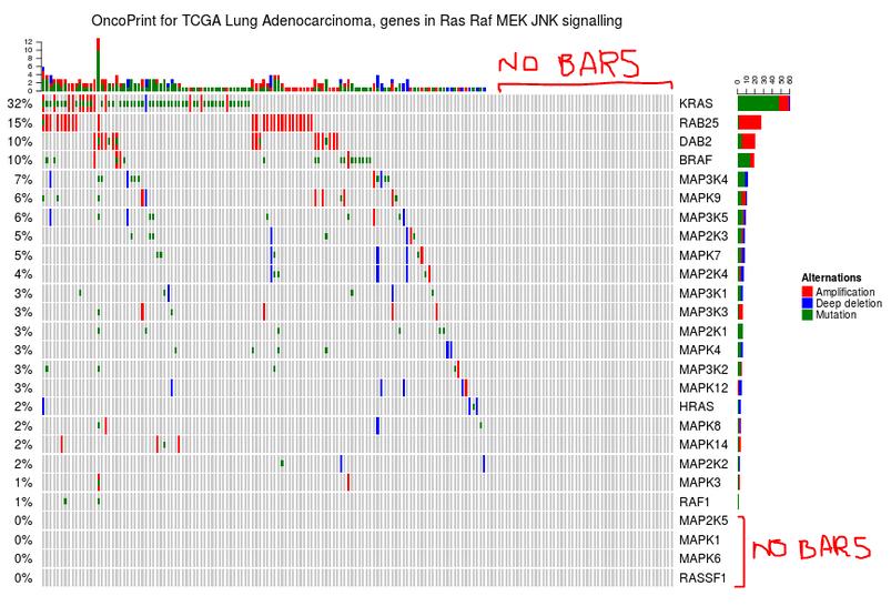 oncoplot column barplot showing total mutations in all genes rather than just what is displayed ...