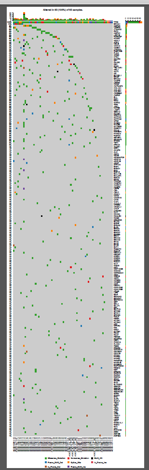 Height of top bar plot in oncoprint · Issue #340 · PoisonAlien/maftools · GitHub