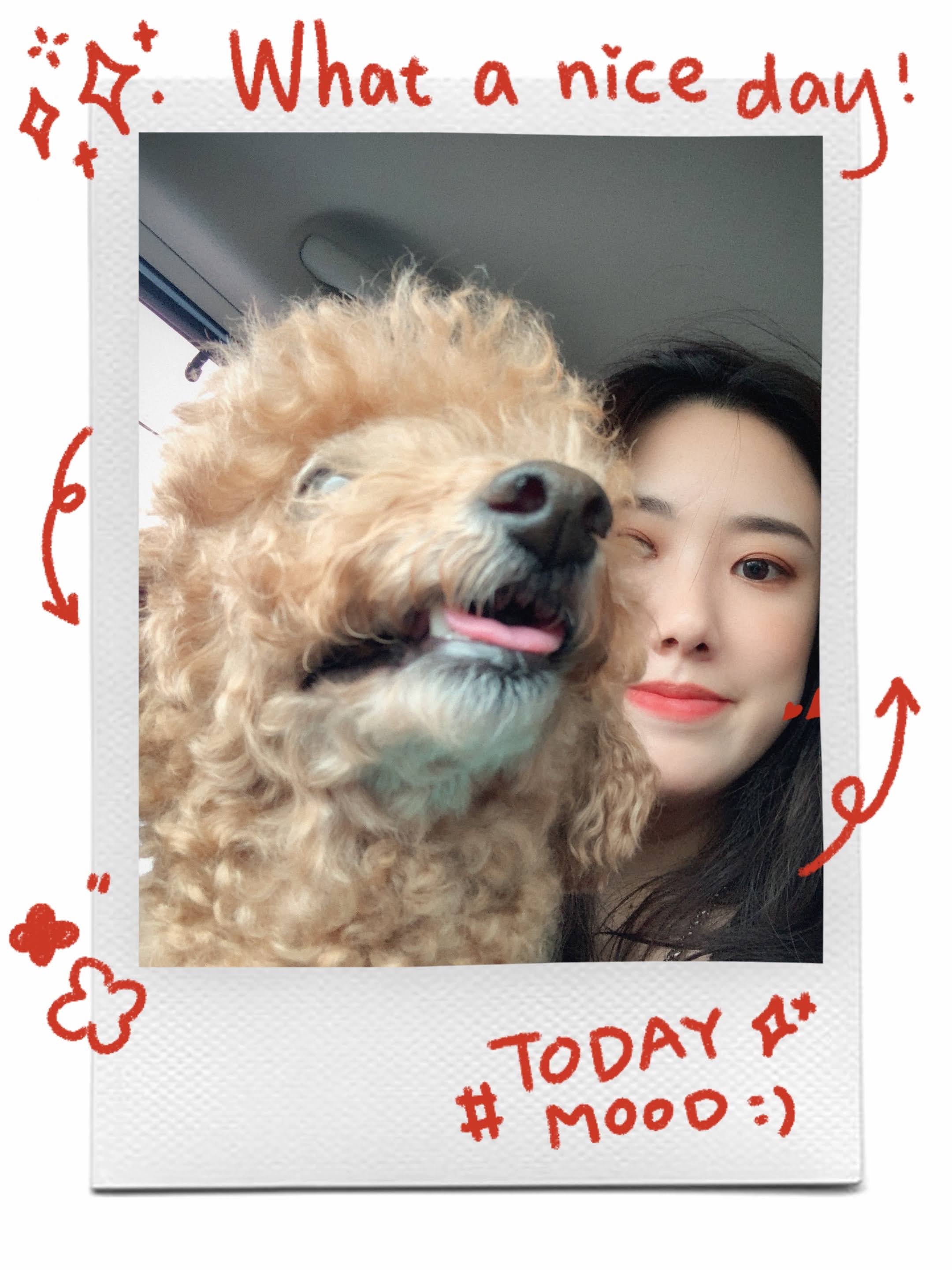 LeezyLazyCrazy (LEEZY) · GitHub