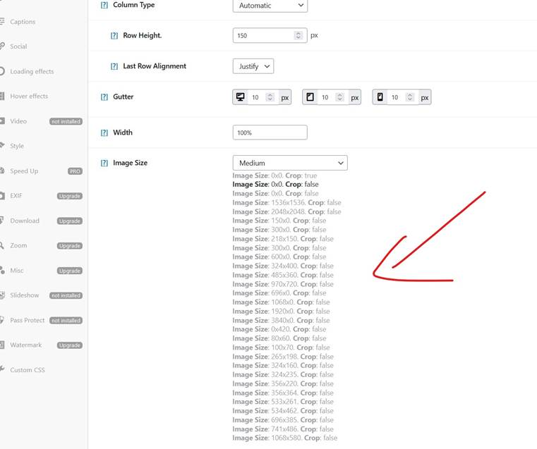 image sizes displaying strangely · Issue #692 · WPChill/modula-lite · GitHub