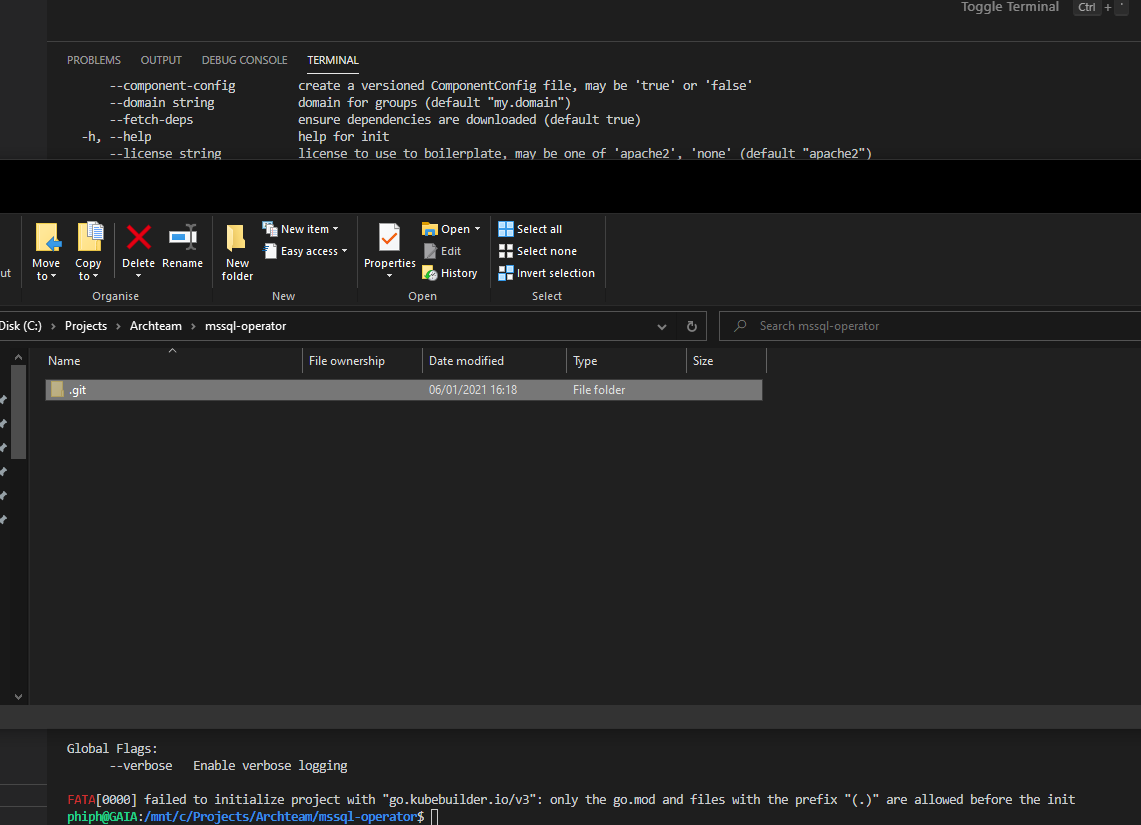 Error While Scaffolding Project Failed To Initialize Project With V3