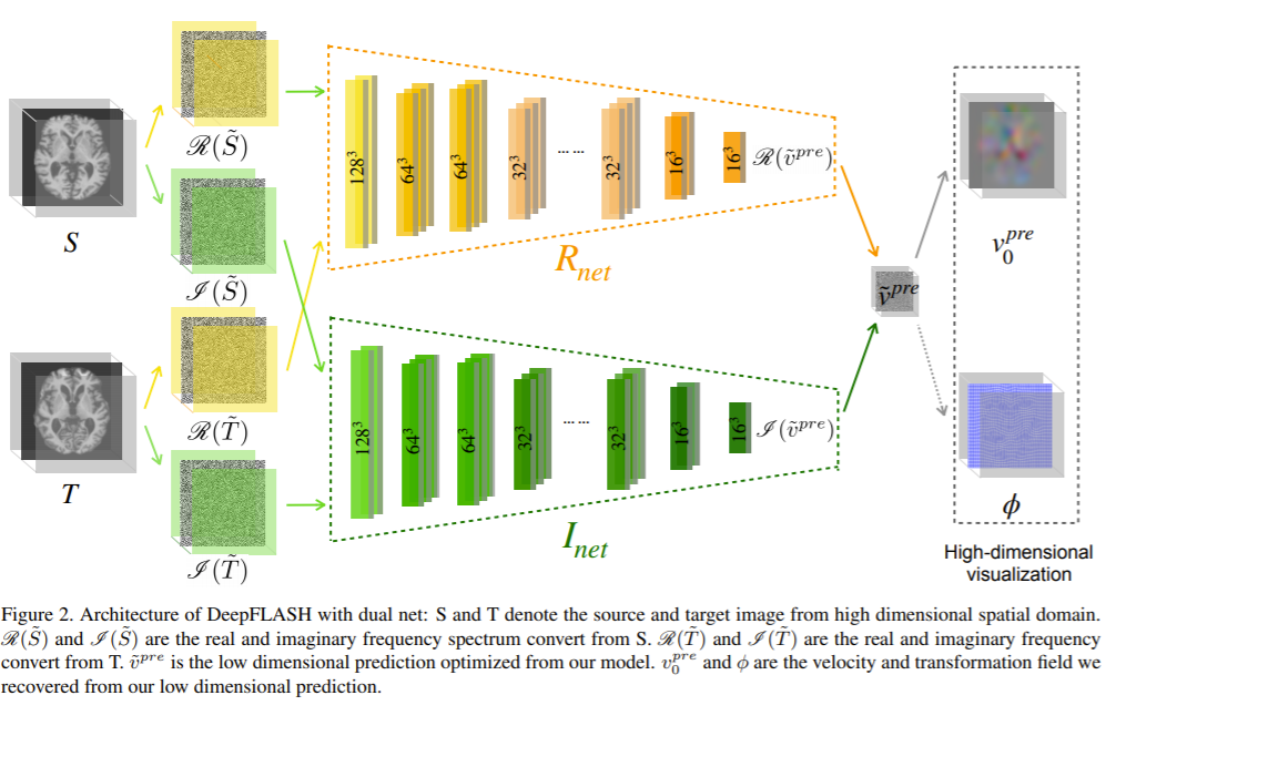 (CVPR2020)DeepFLASH: An Efficient Network for Learning-Based Medical Image Registration · Issue ...