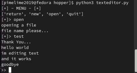 GitHub - Dr3dNuX/TextEditor: simple console based text editor in pyhton