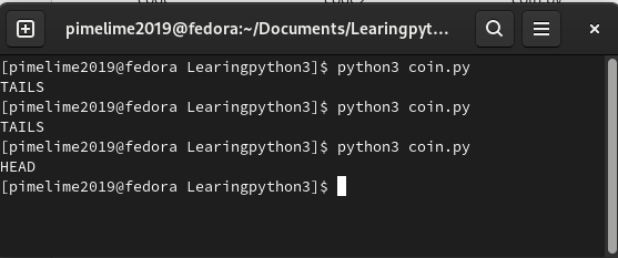 GitHub - Dr3dNuX/COIN: A simple coin flip program for people who have a ...
