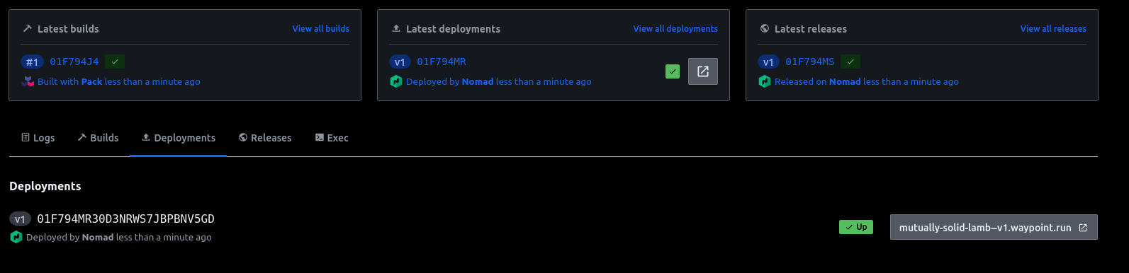 ui: Reconcile icon colors · Issue #1581 · hashicorp/waypoint · GitHub